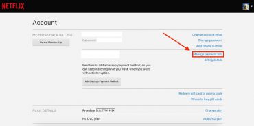 How to Download Netflix Movies to the iPad or iPad Pro? | iPadinTouch